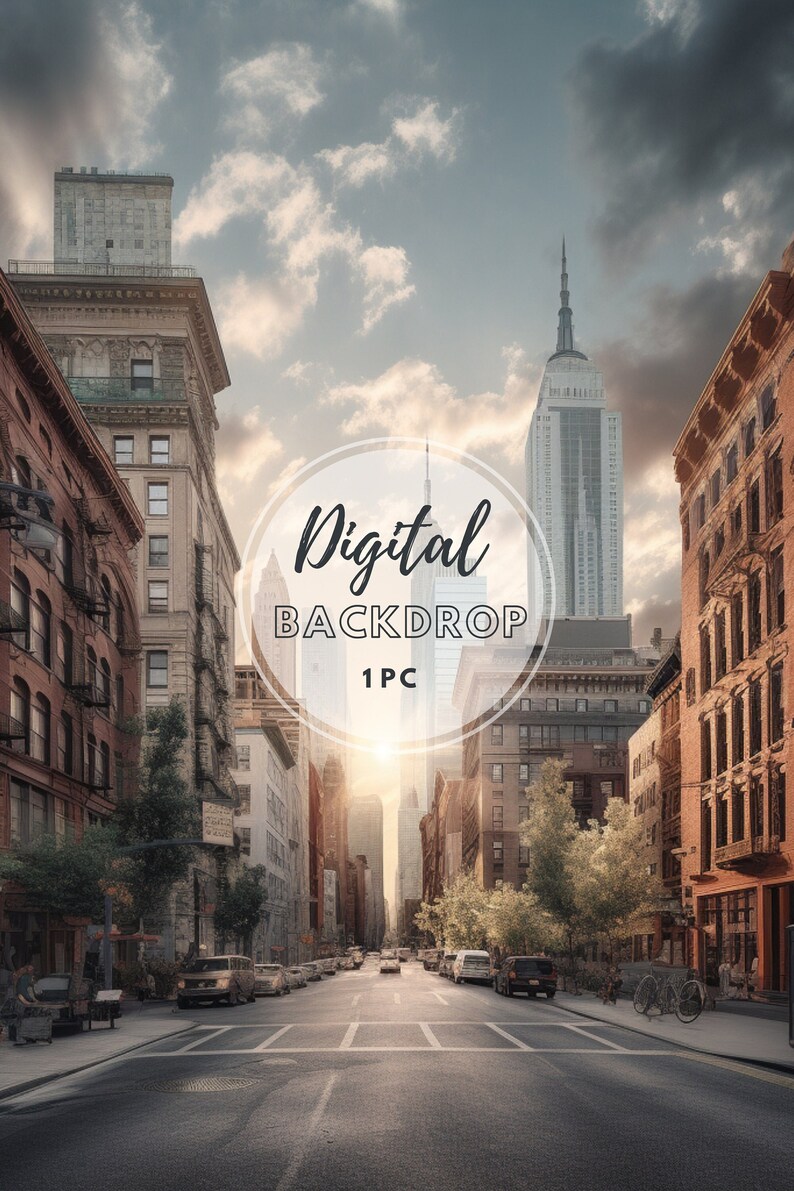 1 Digital Backdrop, New York City Scape Backdrop, Urban Backgrounds ...
