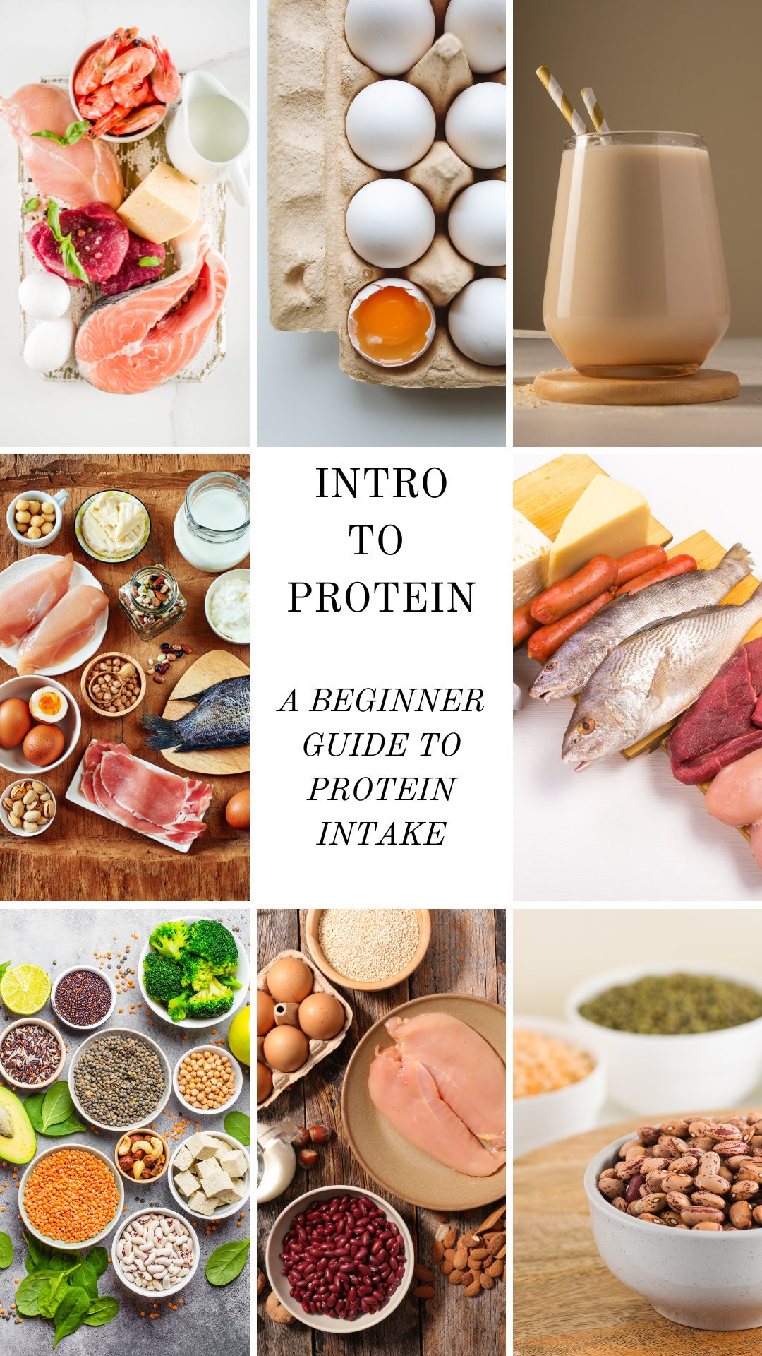 Introduction to Protein! Learn the Basics of the Macronutrient Protein ...