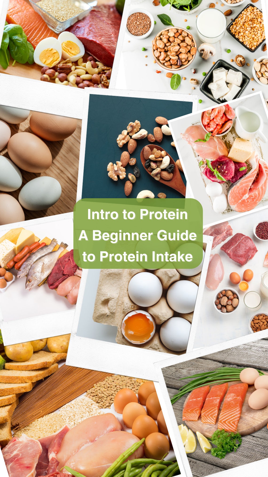 Introduction to Protein! Learn the Basics of the Macronutrient Protein ...