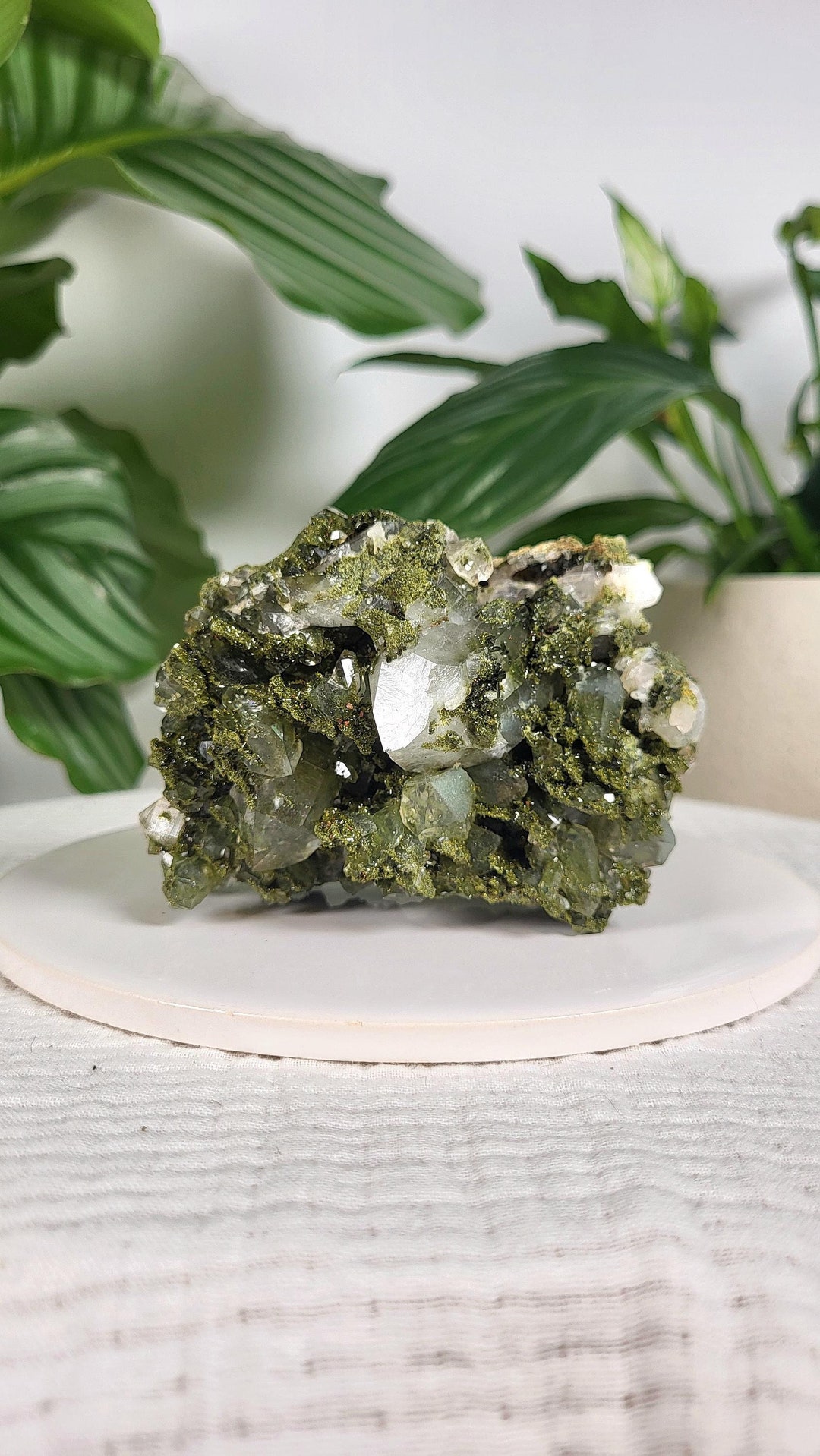 Forest Epidote on Quartz, High Quality Natural Specimen From Turkey ...