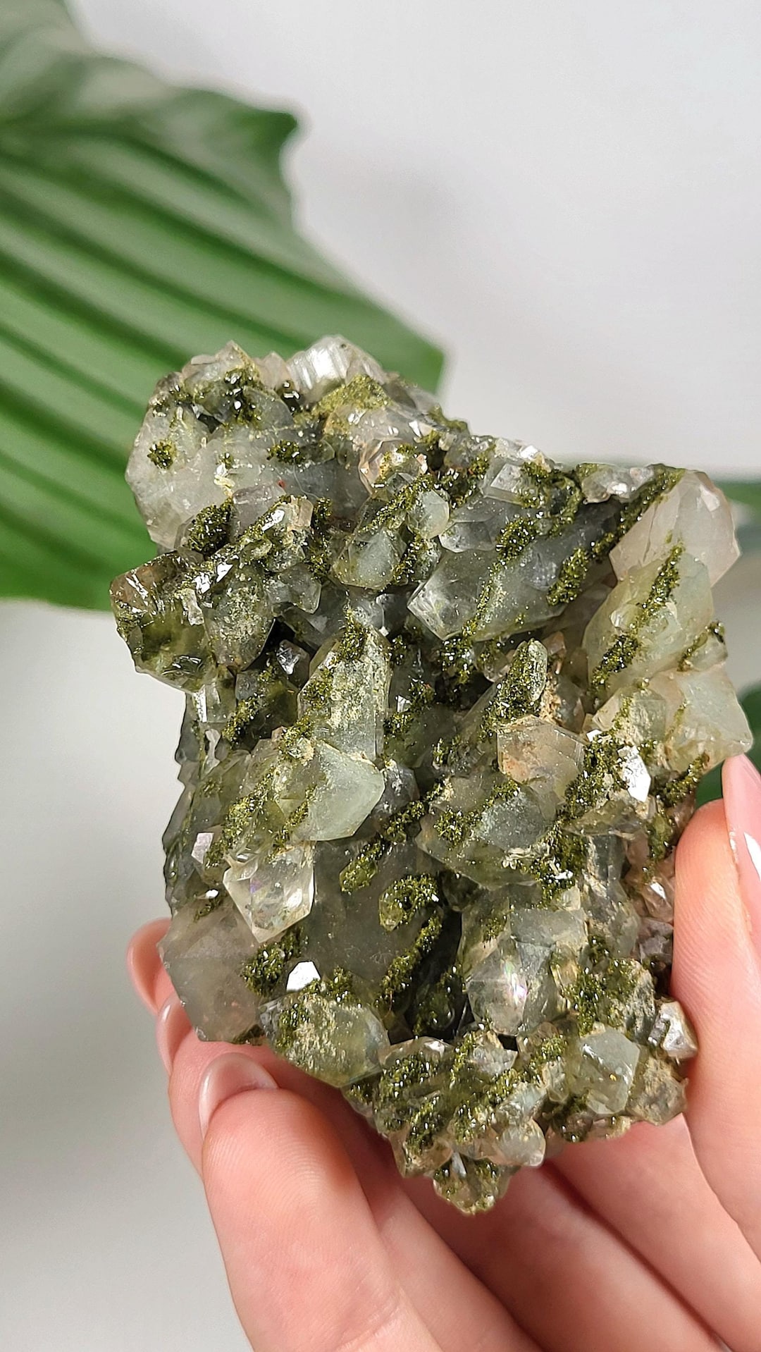 Forest Epidote on Quartz, High Quality Natural Specimen From Turkey ...