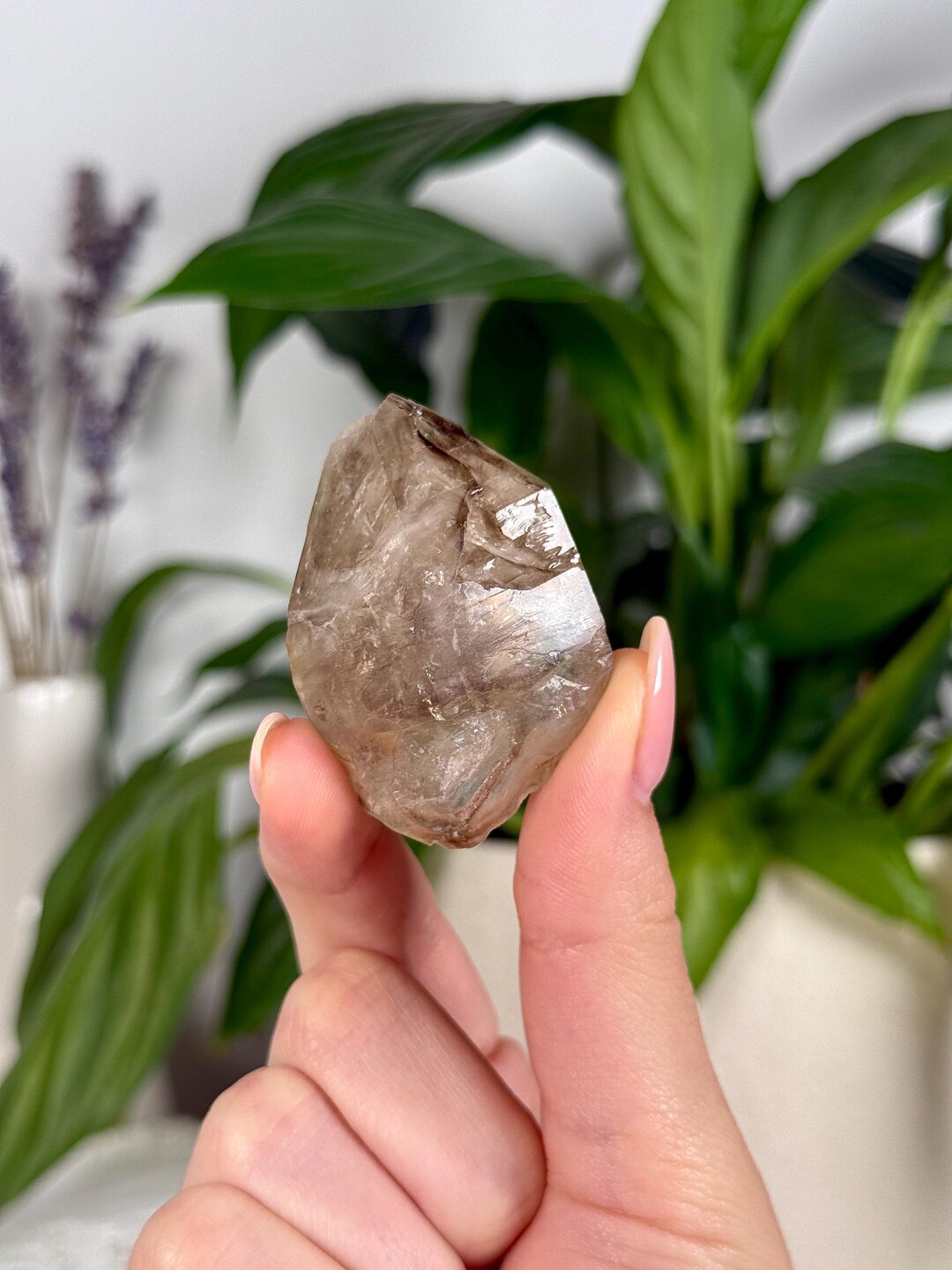 Smokey Elestial Quartz, Natural Raw Crystal From Minas Gerais, Brazil ...
