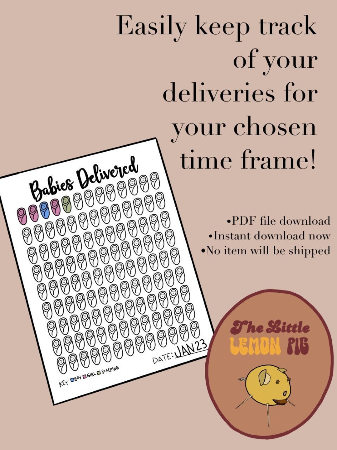 Labor and Delivery Nurse Baby Delivery Tracker, Journal Tracker, Bullet ...