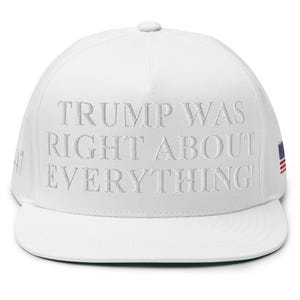 Trump Was Right About Everything Embroidered Cap MAGA 45-47 Flat Bill ...