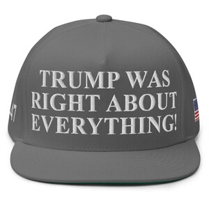 Trump Was Right About Everything Embroidered Cap MAGA 45-47 Flat Bill ...