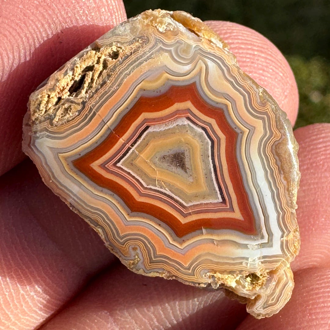 Hills Fairburn Agate teaser Hill Mine South Dakota, USA. Polished ...