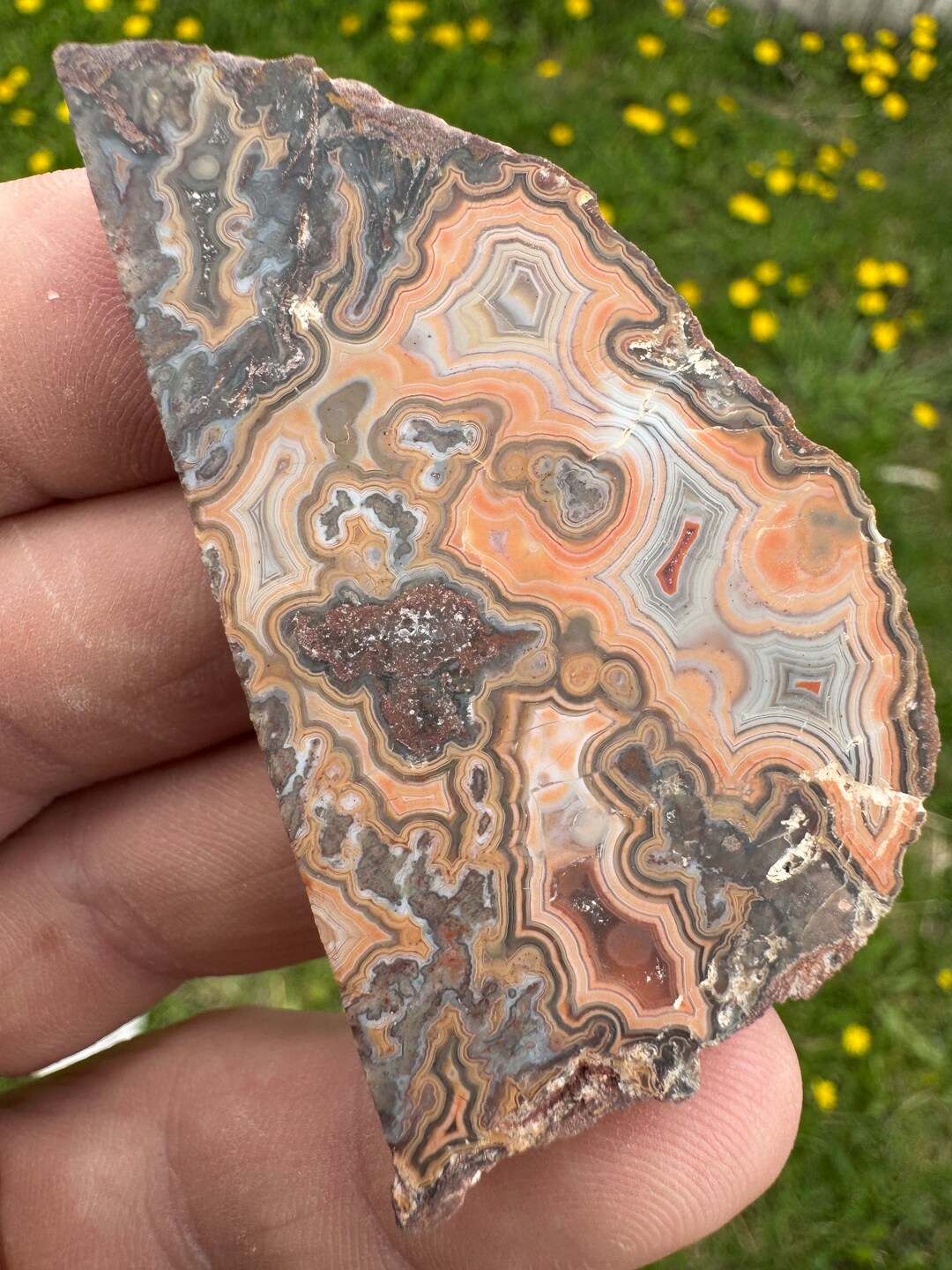 Hills Fairburn Agate Slab townley Mine South Dakota, USA - Etsy
