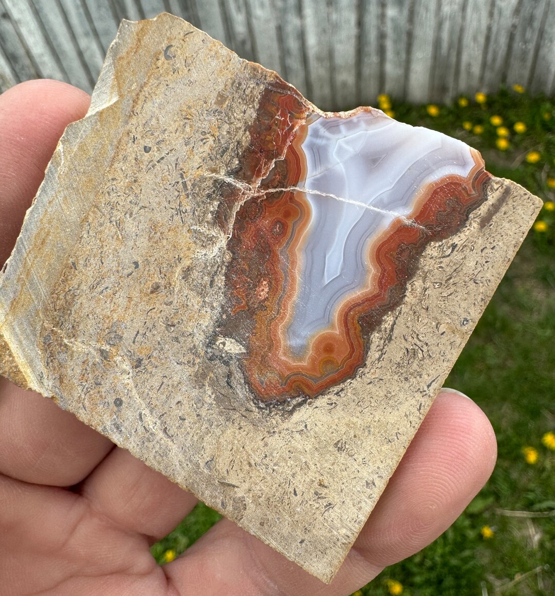 Fluorescent Hills Fairburn Agate Slab agate Hill Mine South Dakota, USA ...