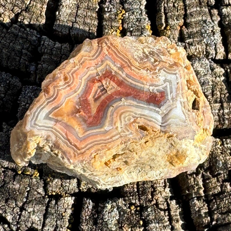 Hills Fairburn Agate teaser Hill Mine South Dakota, USA. Polished ...