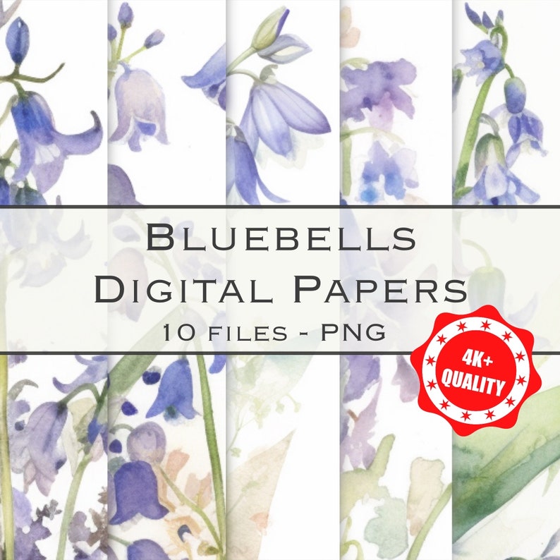 Bluebell Clip Art, 20x20 4k HD Digital Journal Wildflower Textured ...