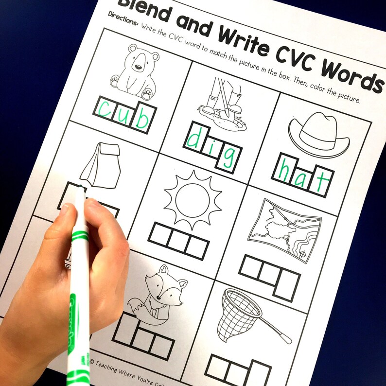 At the Zoo Worksheet - Etsy