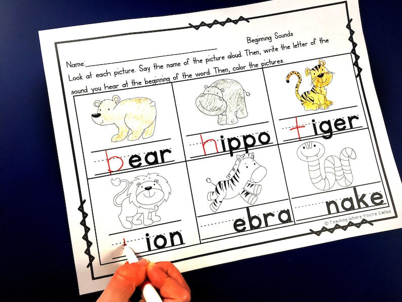 At the Zoo Worksheet - Etsy