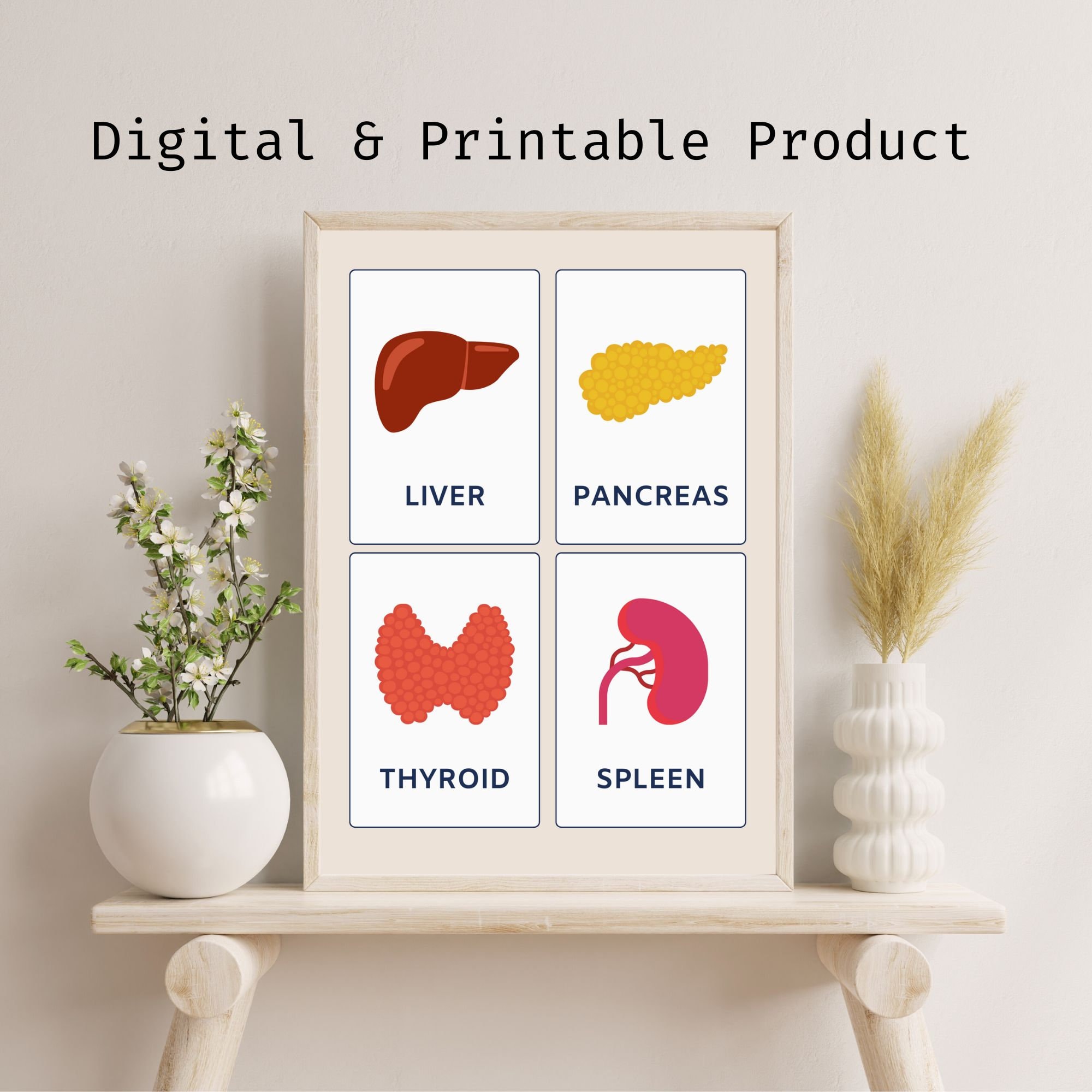 Printable Medical Illustration Anatomy Posters Digital - Etsy UK
