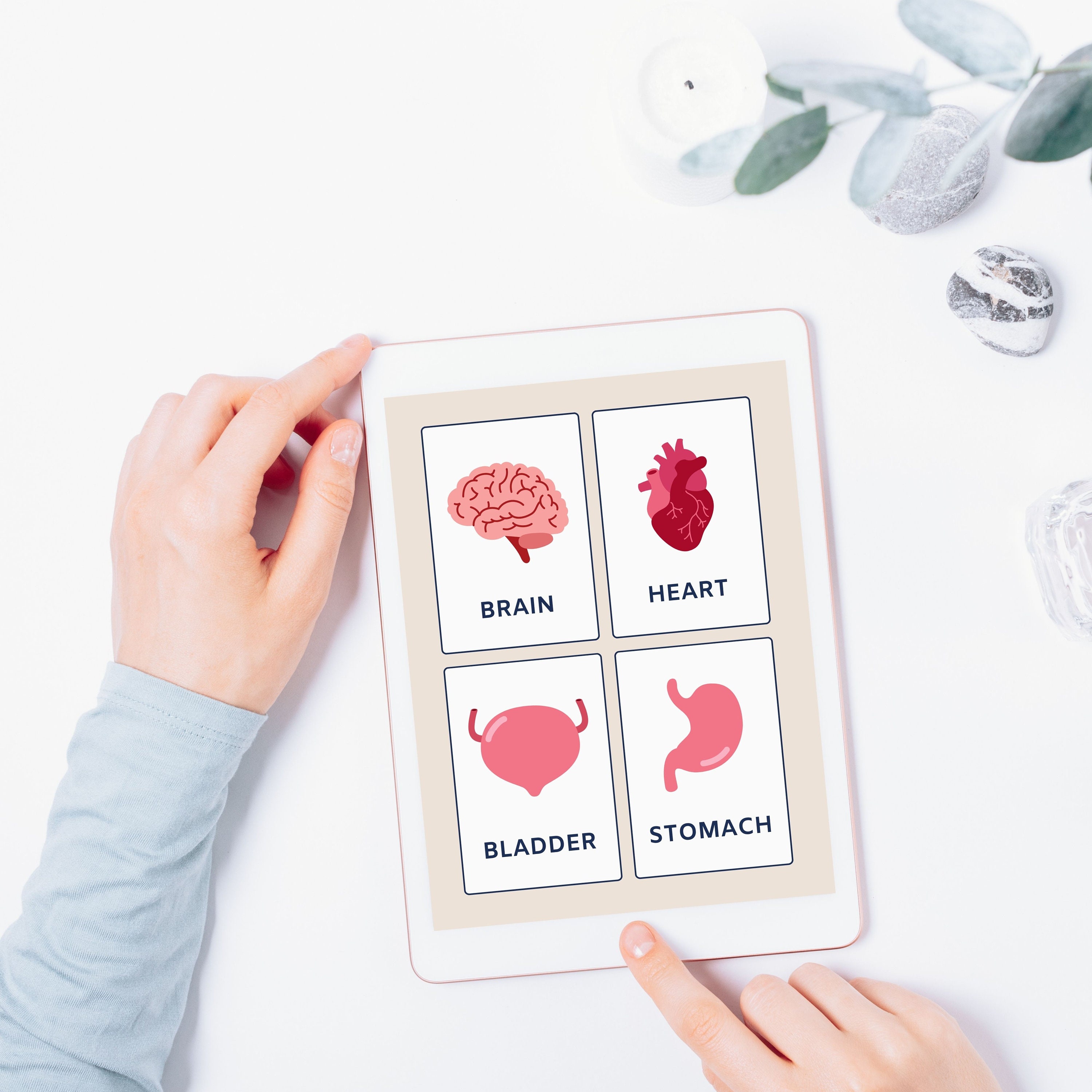 Printable Medical Illustration Anatomy Posters Digital - Etsy UK