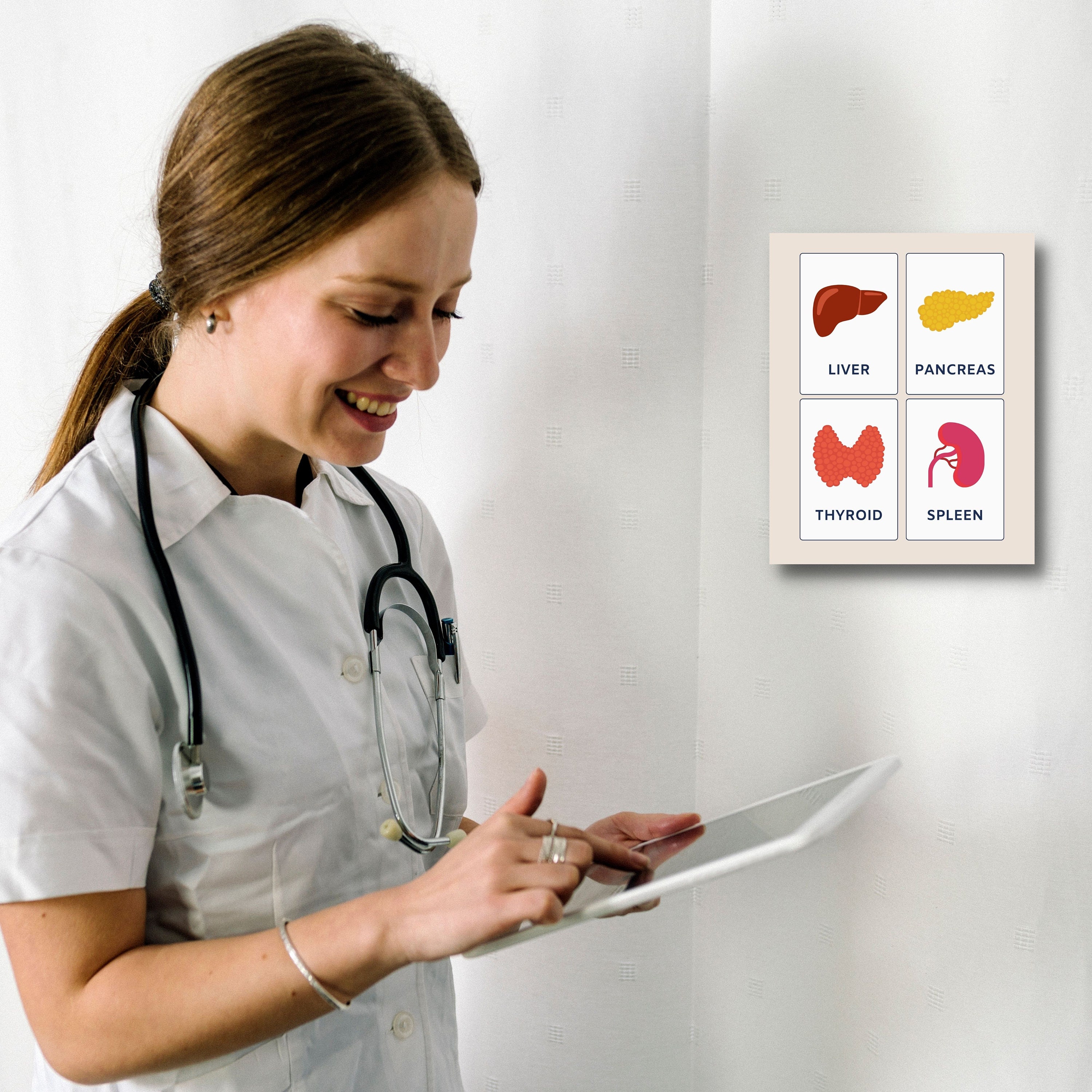 Printable Medical Illustration Anatomy Posters Digital - Etsy UK