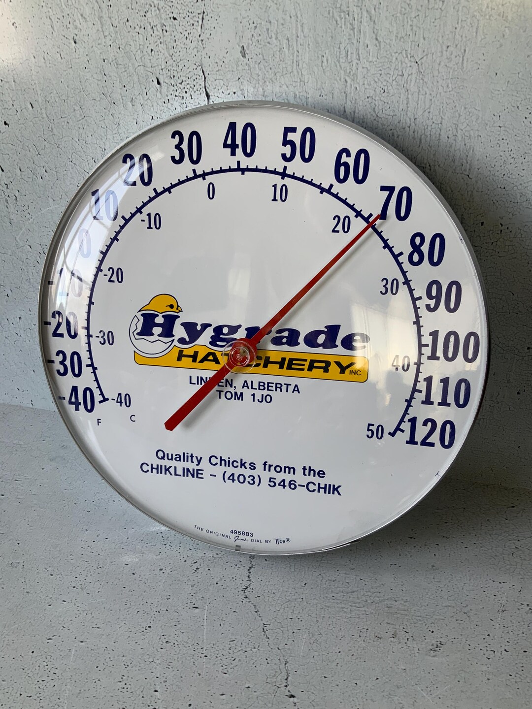 Jumbo Dial 12” Advertising Thermometer. Hygrade Hatchery, Linden AB ...