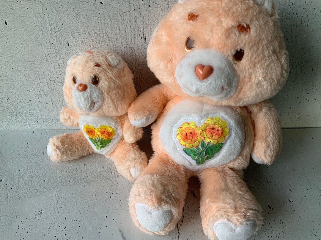 Friend Bears Pair. Care Bears 1983. Vintage Stuffed Toy Teddy Bears ...