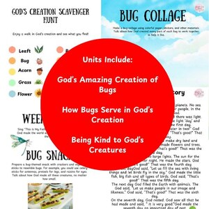 Christian Bugs Unit Study: Homeschool Printable (pre-k - 1st) - Etsy