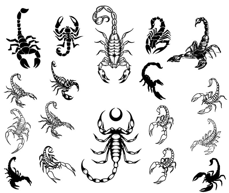 Escorpiones svg / escorpio zodiaco png / silueta de escorpión / dxf ...