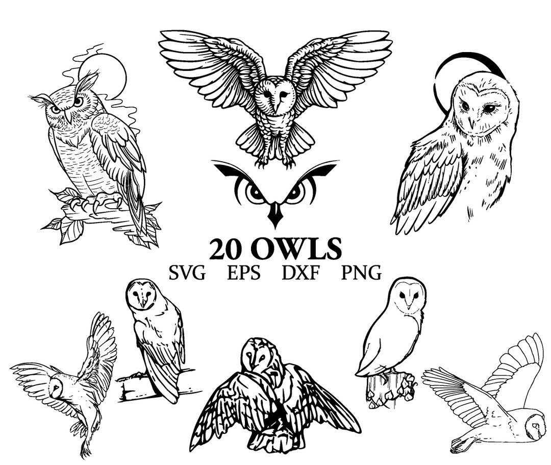Owl Svg Owl Clipart Bundle Barn Owl Svg Flying Birds - Etsy