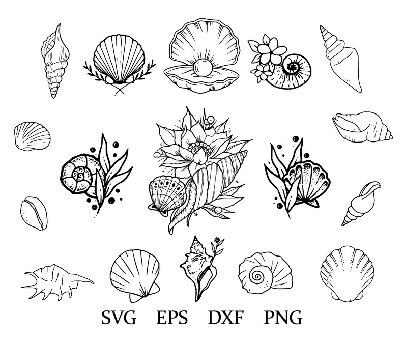 Seashell Svg Floral Seashells Seashell Clipart Png Dxf Eps - Etsy