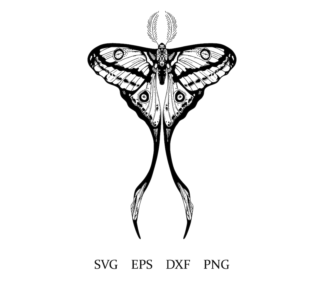 Luna Moth Svg, Cricut, Silhouette, Moth Clipart - Etsy Canada