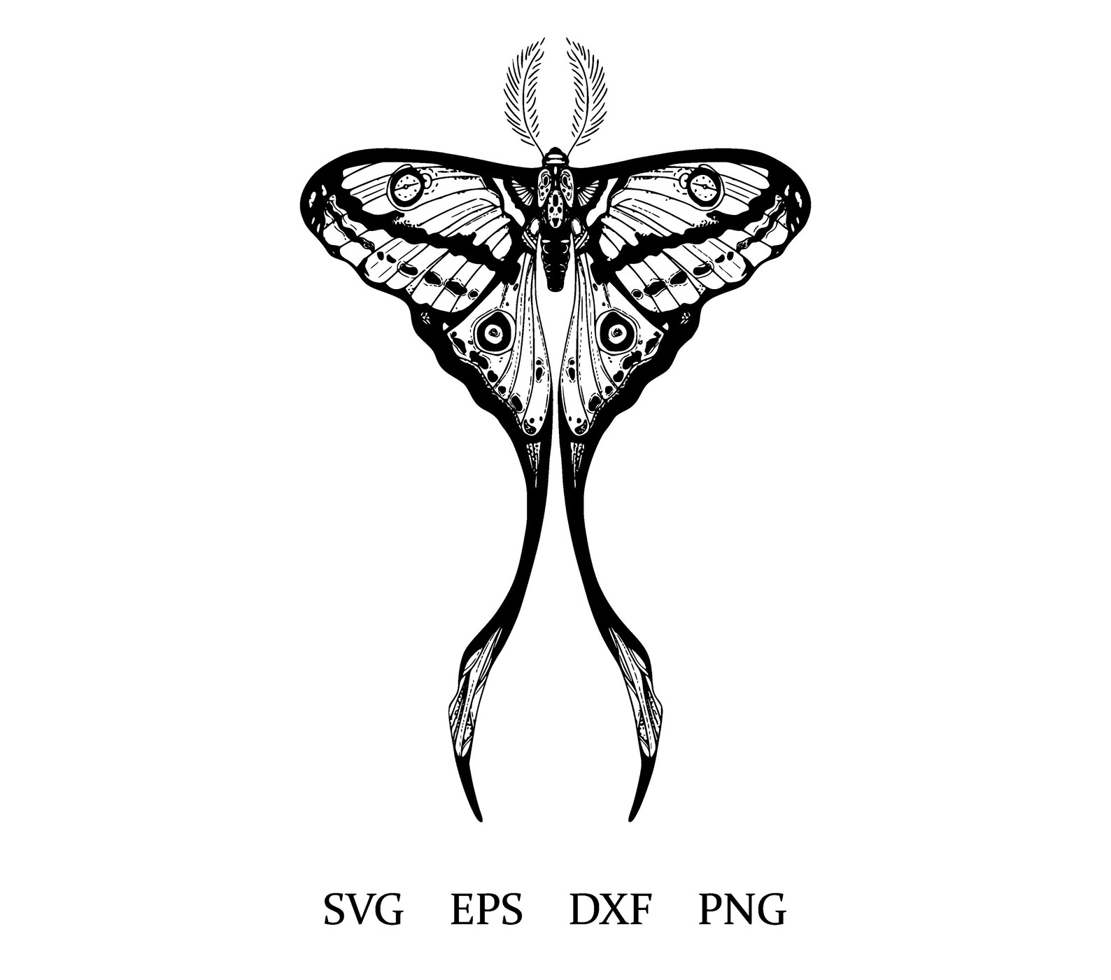 Luna Moth Svg, Cricut, Silhouette, Moth Clipart - Etsy