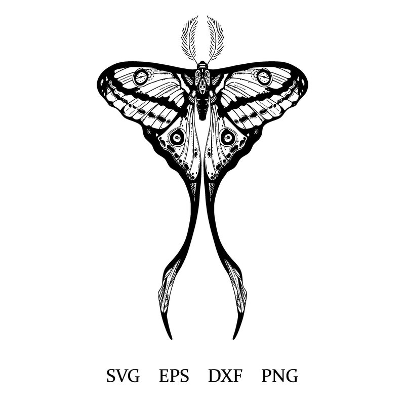 Gothic Moth Svg - Etsy
