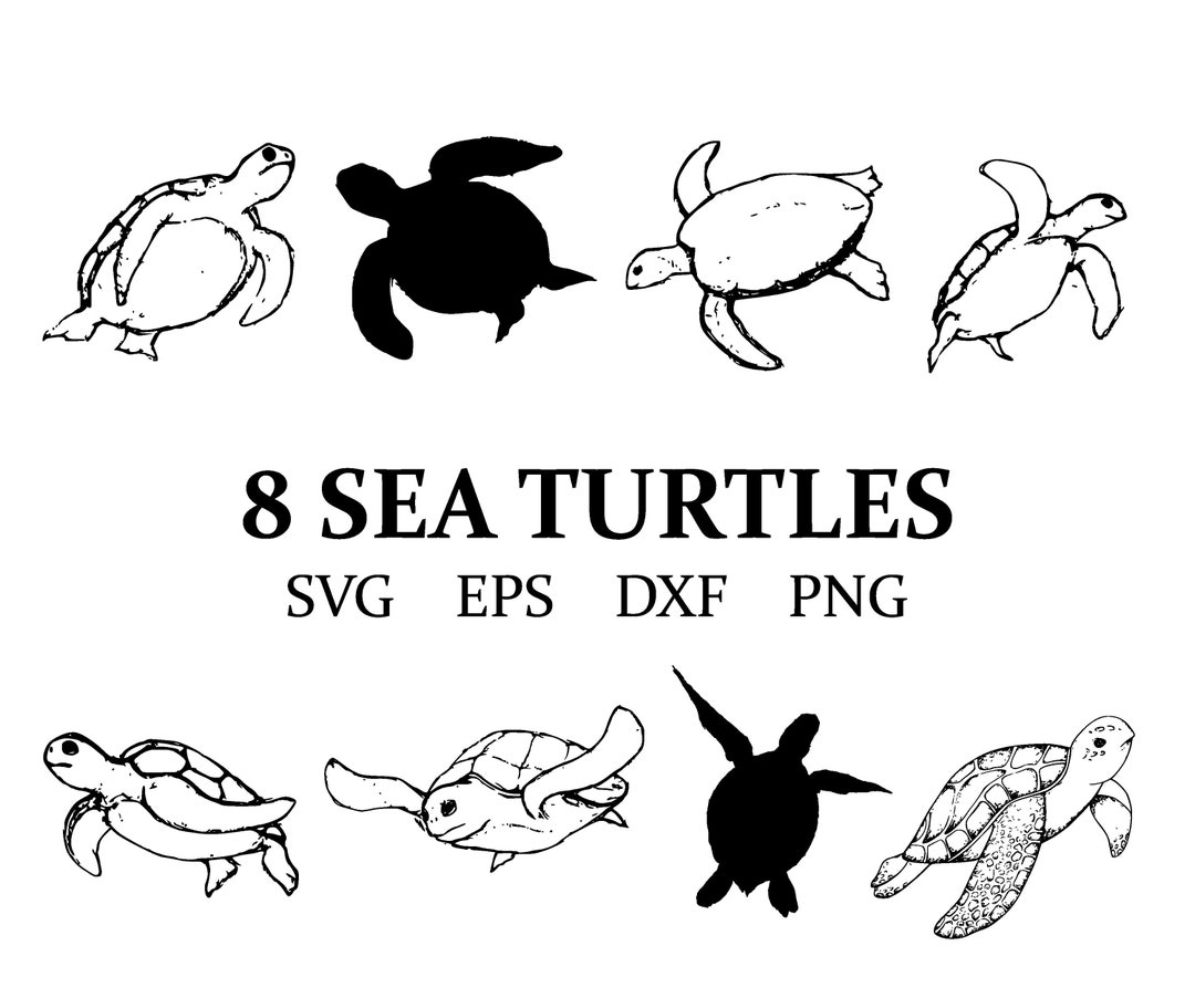 Tortugas marinas SVG / Siluetas de tortuga / Clipart de tortuga - Etsy ...