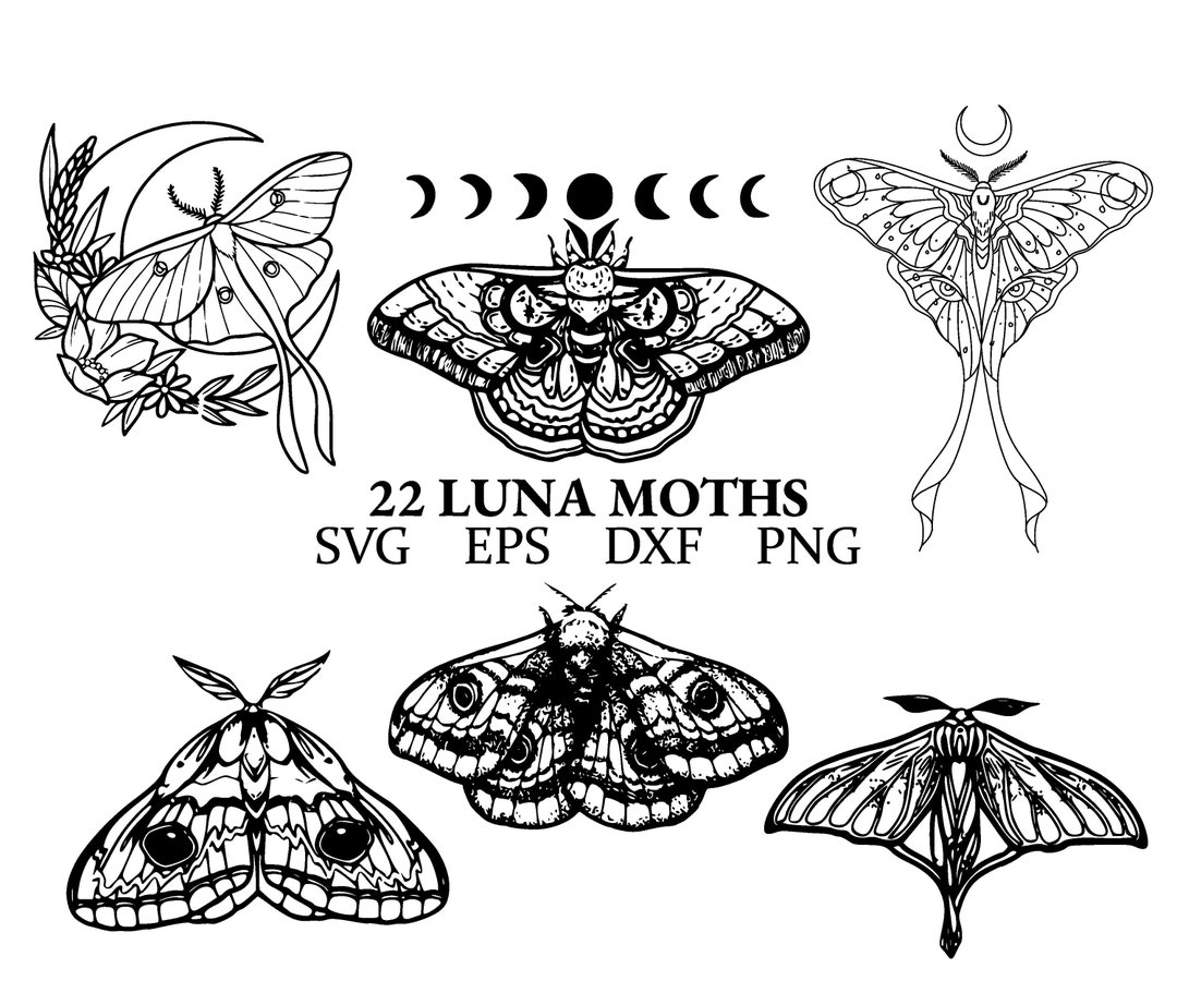 Luna Moth and Moon Moth Svg Celestial Moth Clipart Png Eps Dxf - Etsy ...