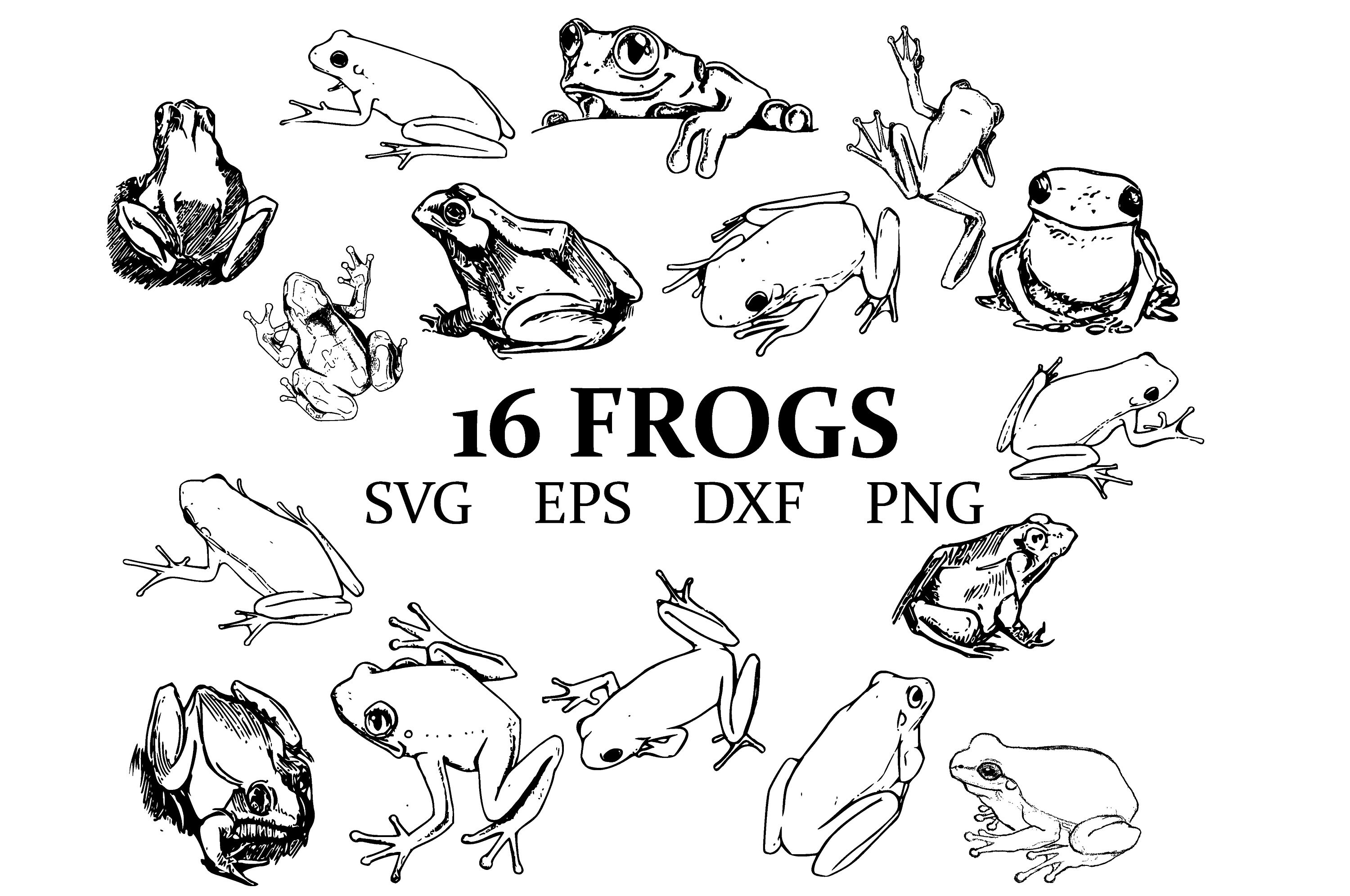 Frog Svg Frog Clipart Frog Vector Bundle - Etsy
