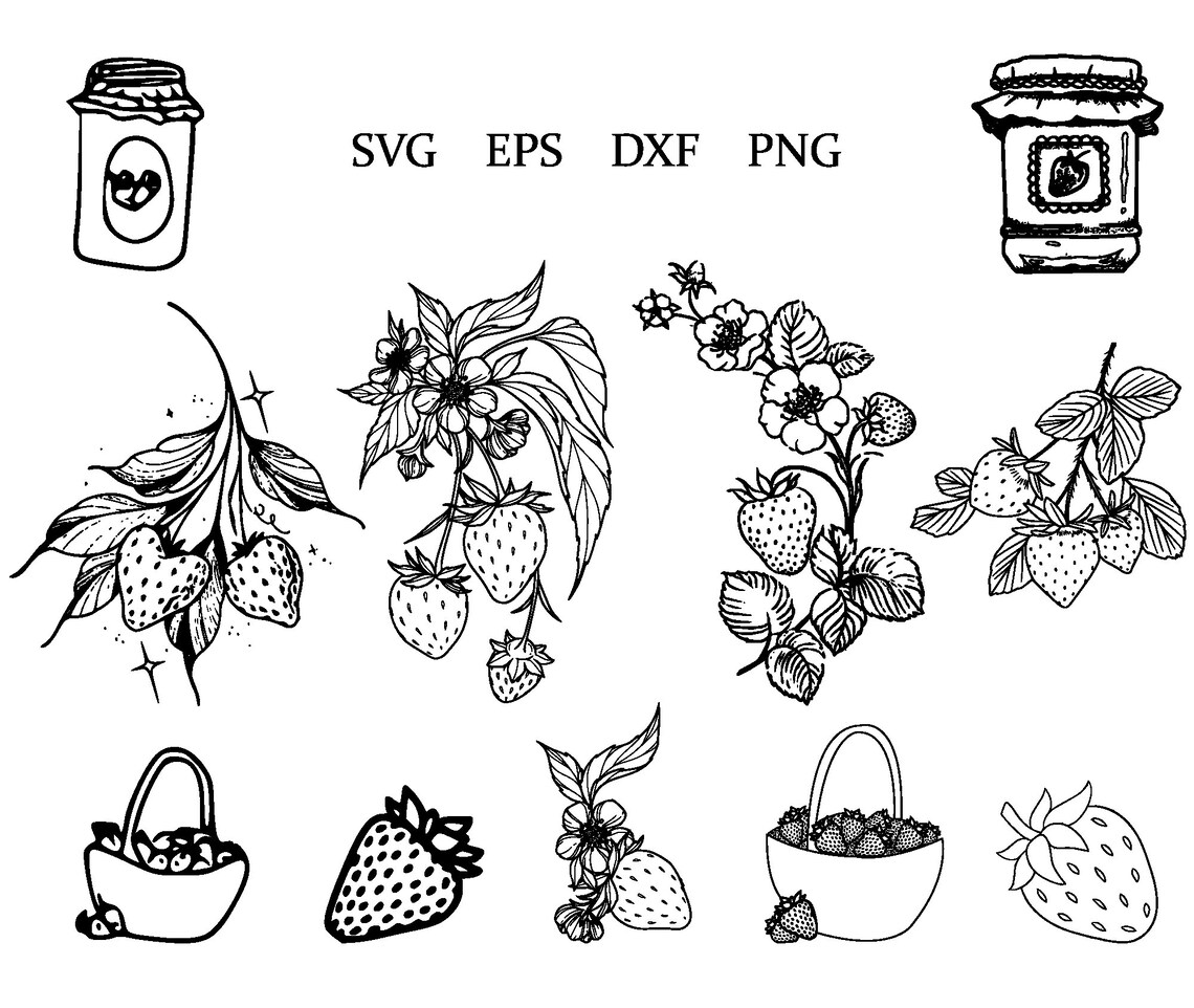 Strawberry Svg Strawberry Vines and Flowers Strawberry Basket Clipart ...