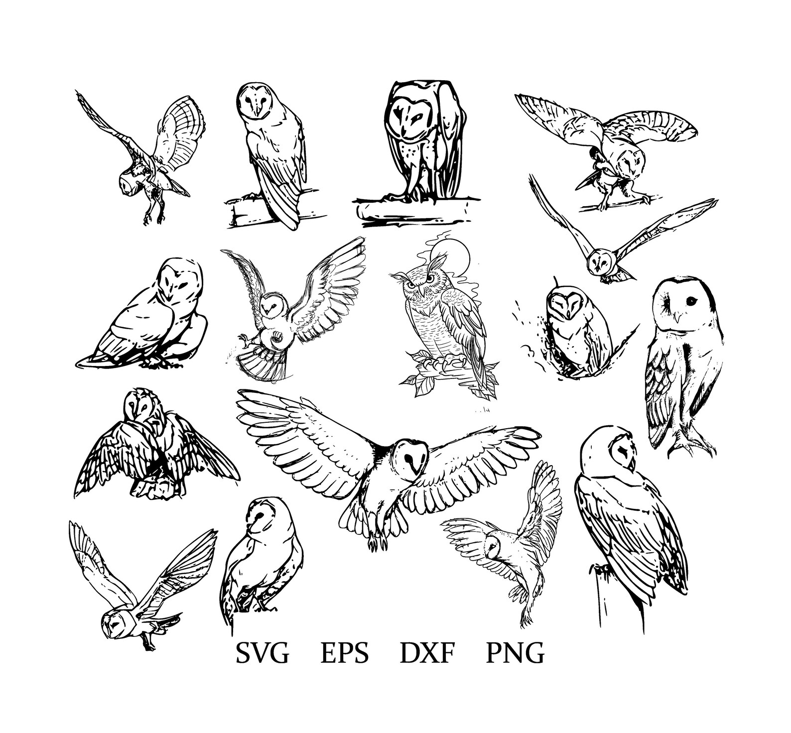 Owl Svg Owl Clipart Bundle Barn Owl Svg Flying Birds - Etsy