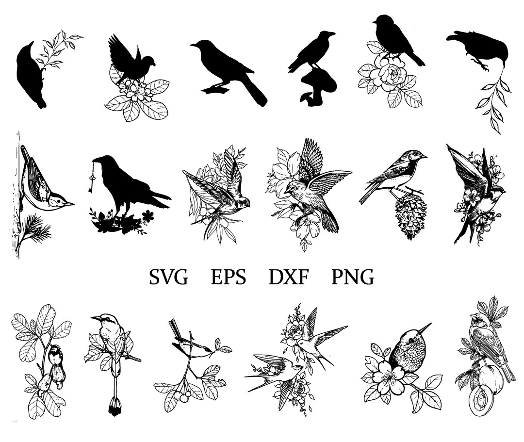 Floral Birds SVG Bird Silhouettes and Flowers Bird Clipart - Etsy