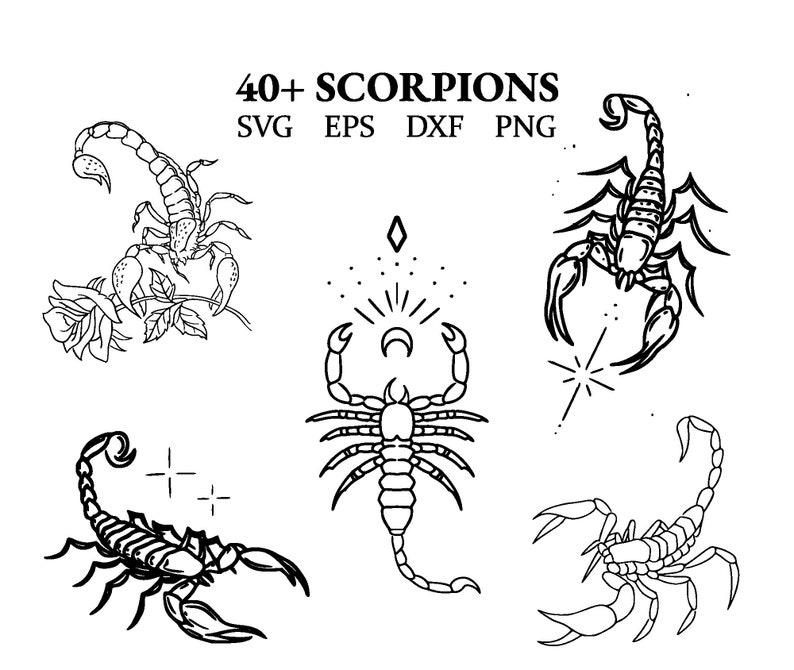 Escorpiones svg / escorpio zodiaco png / silueta de escorpión / dxf ...