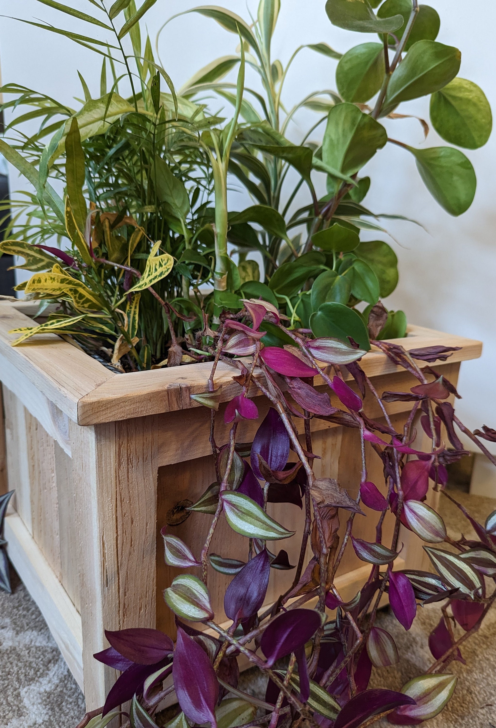 Rustic Wood Planter Box for Farmhouse-style Gardens Cedar - Etsy