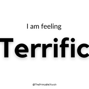 Emotion Flash Cards for Kids and Teens, Digital Download, Feelings ...