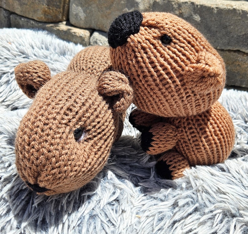 Machine Knit Capybara Pattern *PDF ONLY* - Etsy