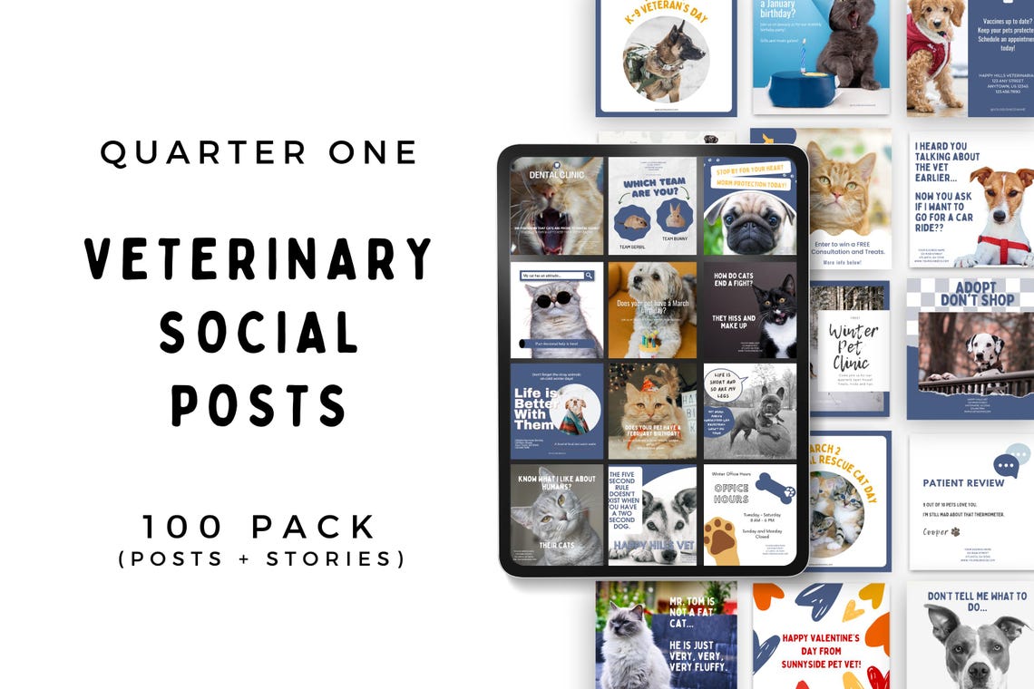 Pet Vet Instagram Templates: Social Media Posts & Stories (digital ...