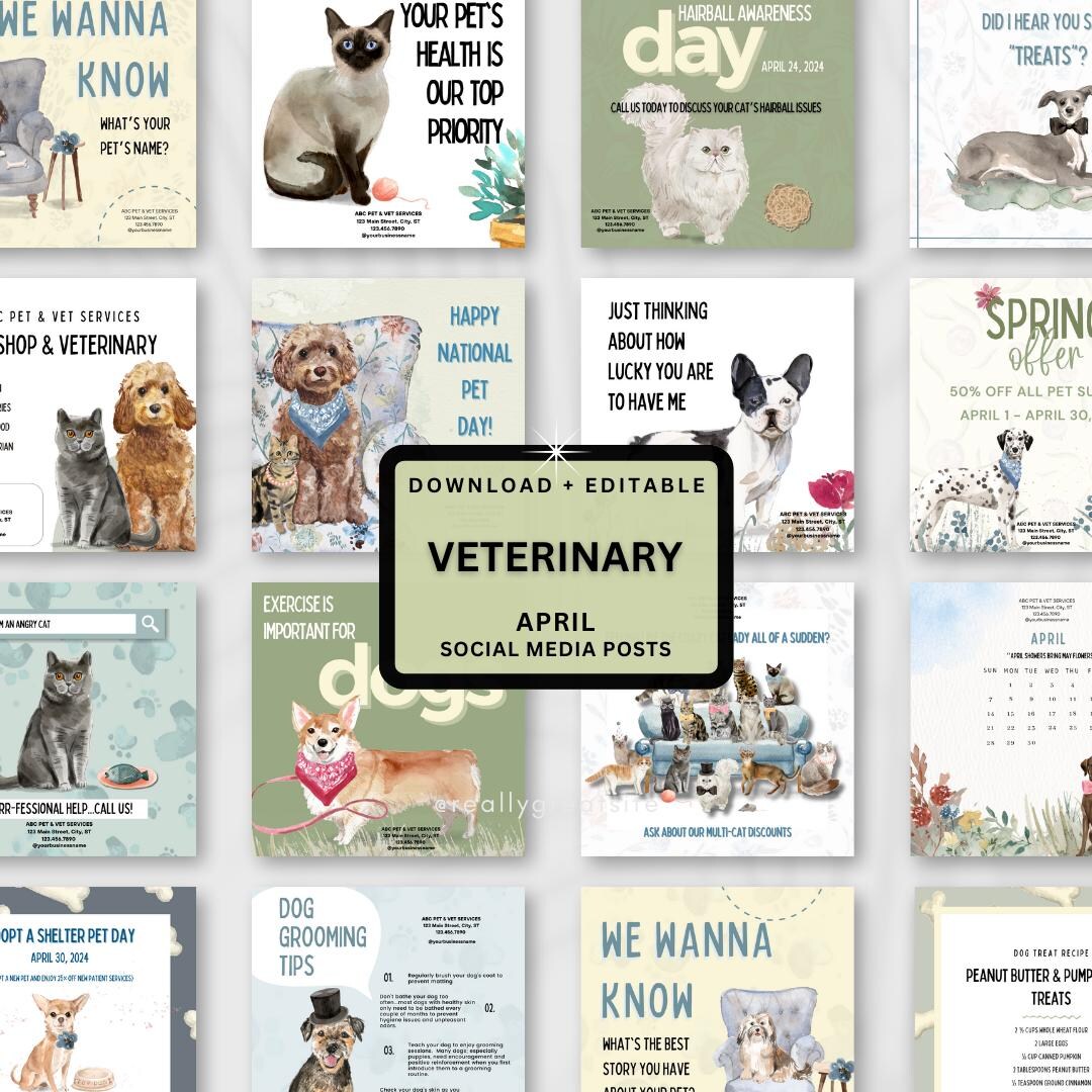 Veterinary Instagram Post Templates | Pet Business Social Media (canva ...