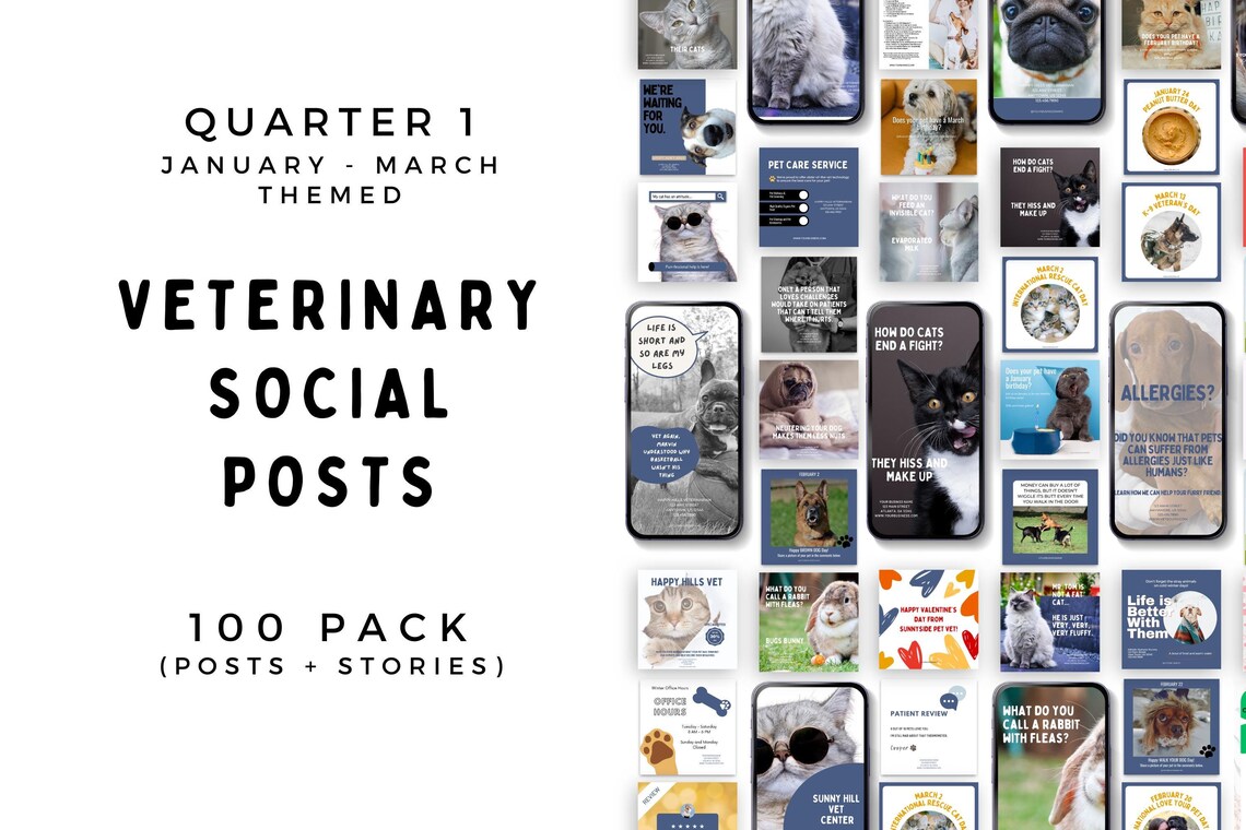 Pet Vet Instagram Templates: Social Media Posts & Stories (digital ...