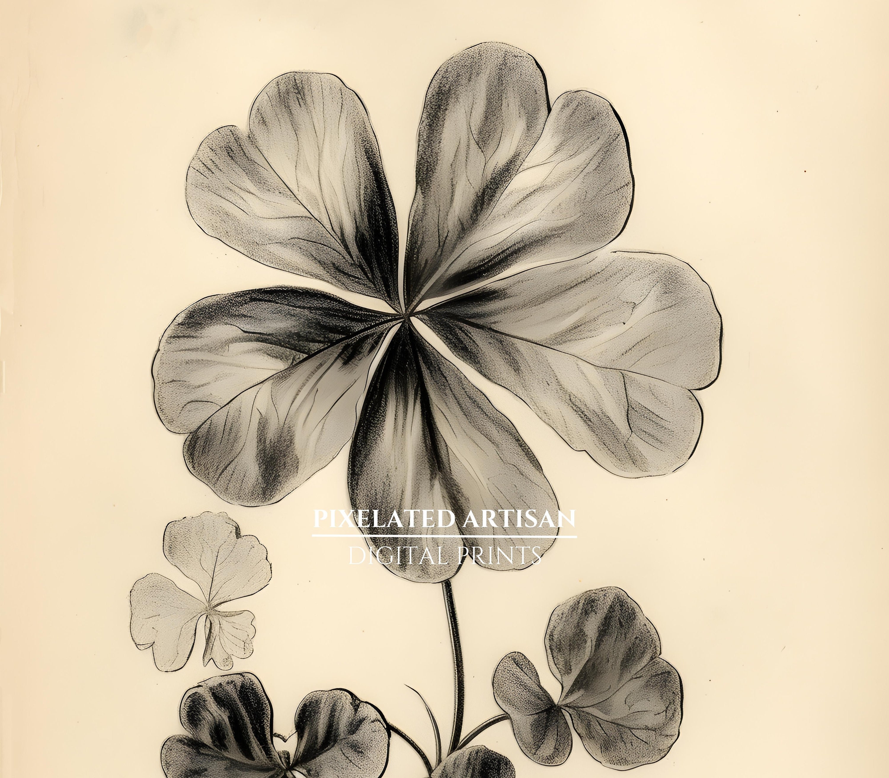 Irish Clover Vintage Botanical Sketch Printable Art Instant Digital ...
