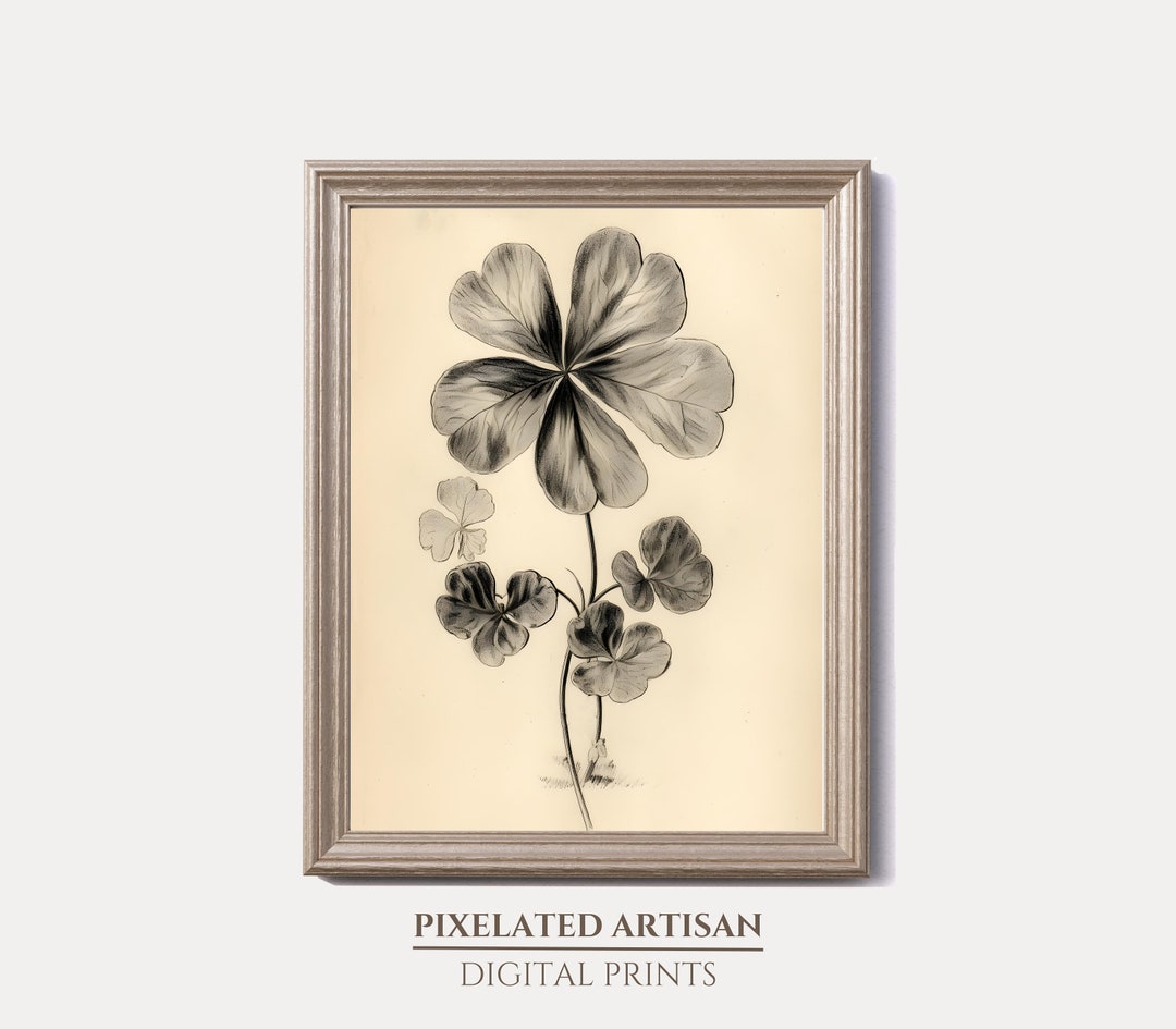 Irish Clover Vintage Botanical Sketch Printable Art | Instant Digital ...