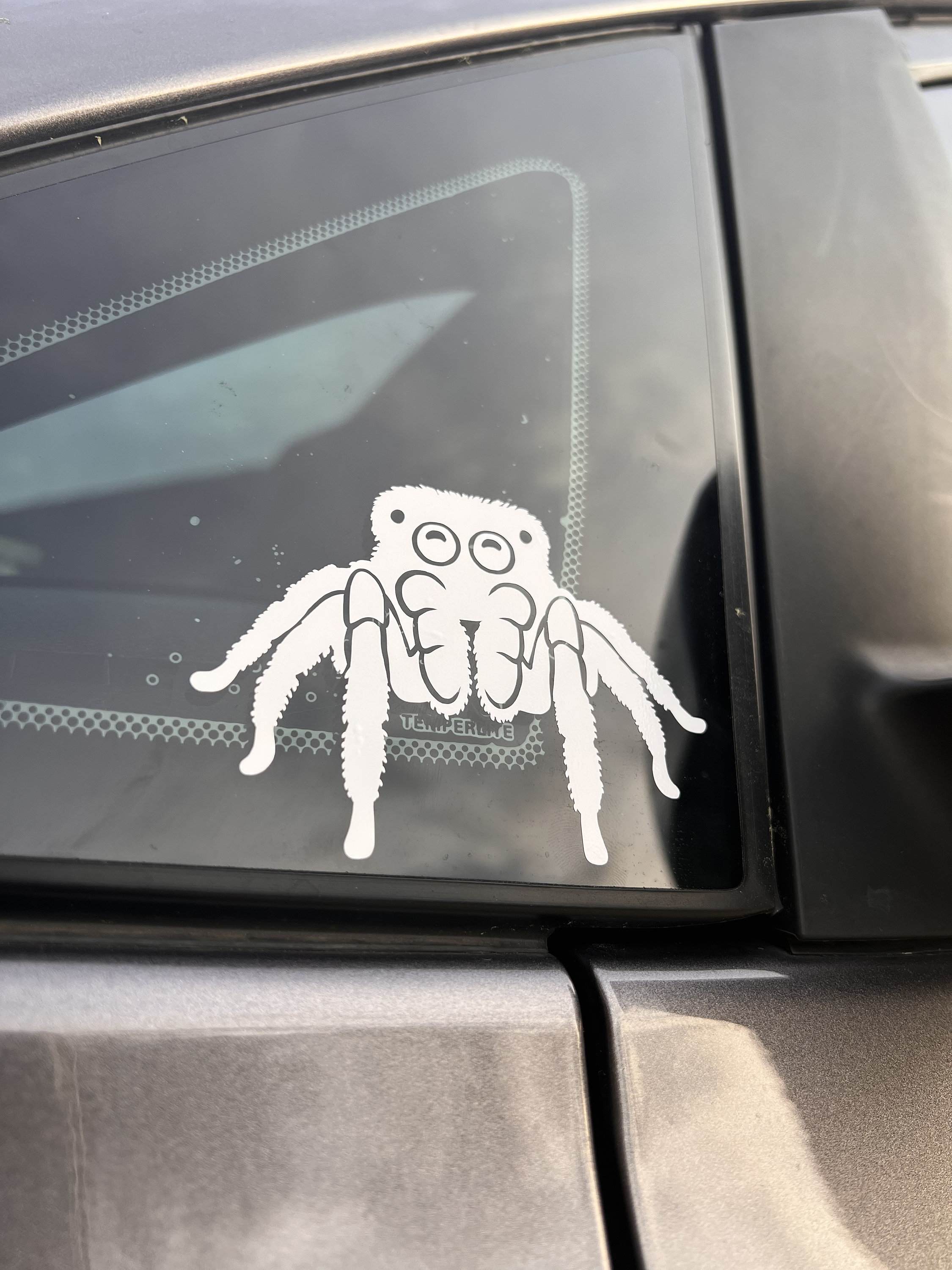 Jumping Spider Decal - Etsy
