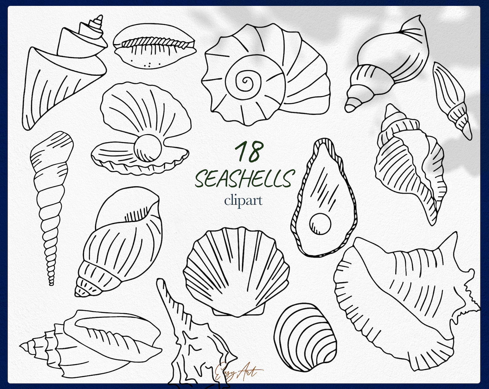 Line Seashells Clipart, Hand Draw SVG, Outline Shell PNG, Invitation ...