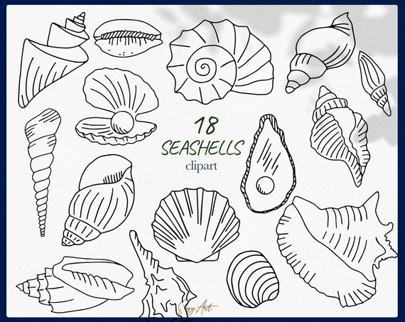 Muschel Umriss Clipart