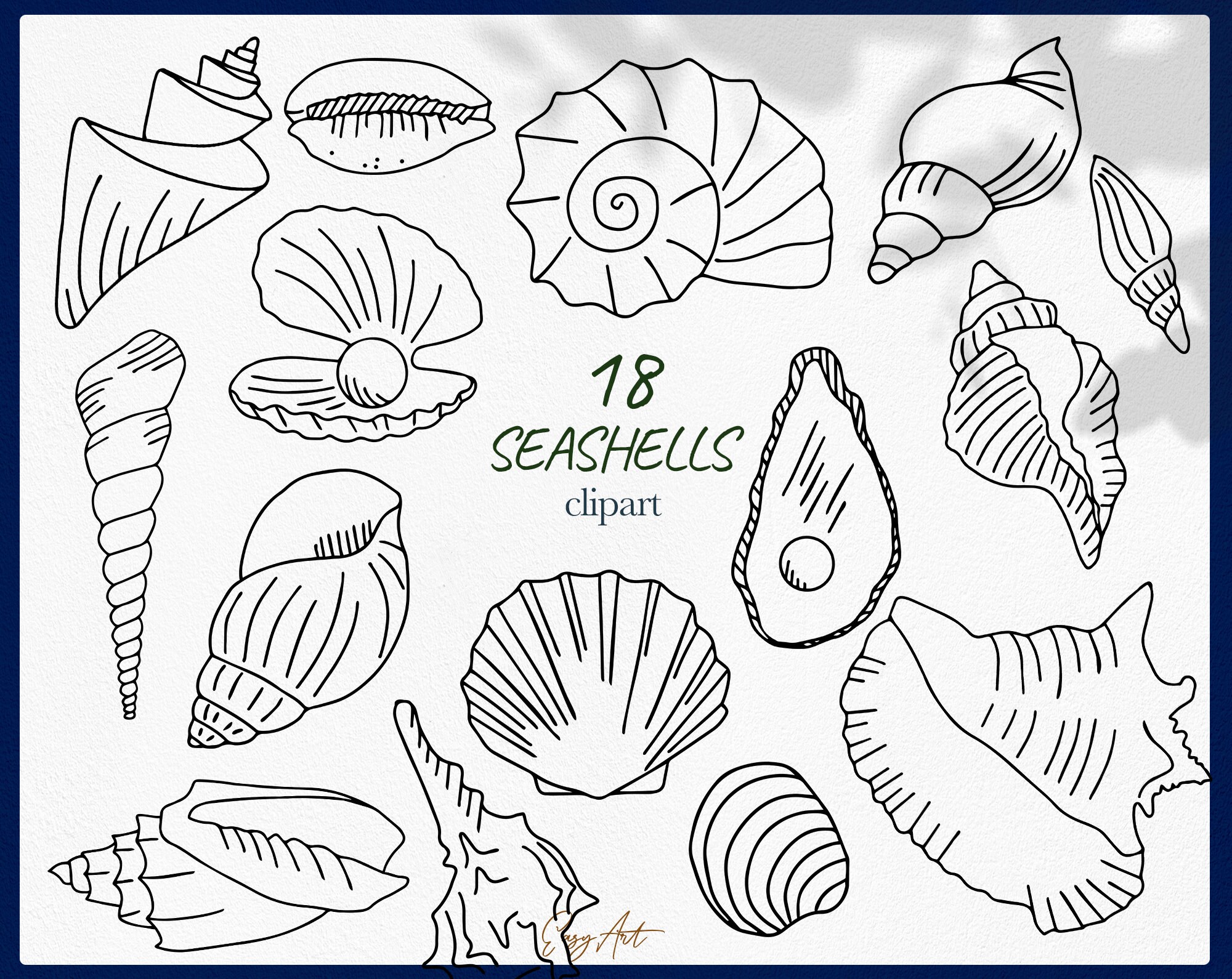 Line Seashells Clipart, Hand Draw SVG, Outline Shell PNG, Invitation ...