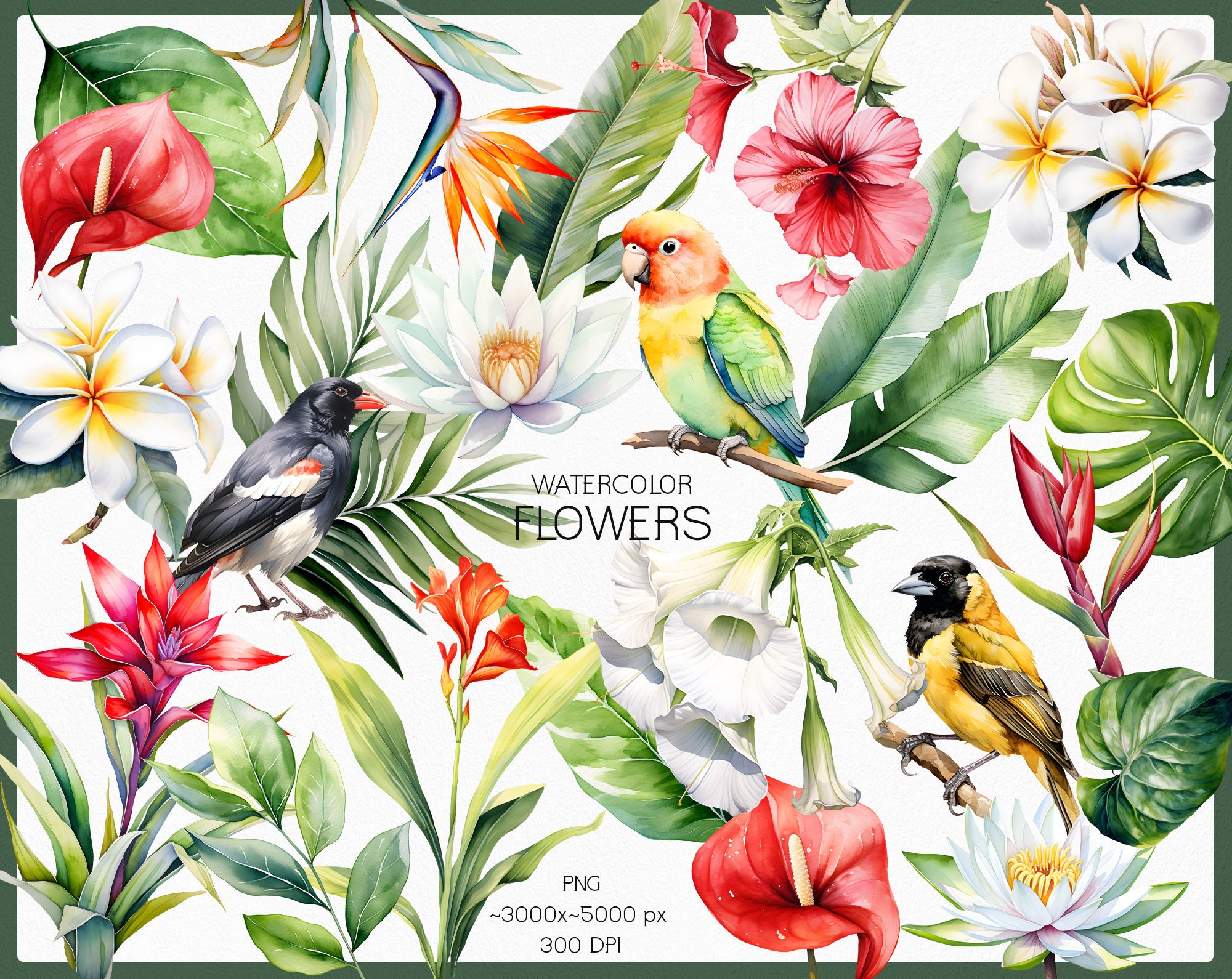 Watercolor Tropical Flowers Clipart, Wedding Floral PNG, Watercolor ...