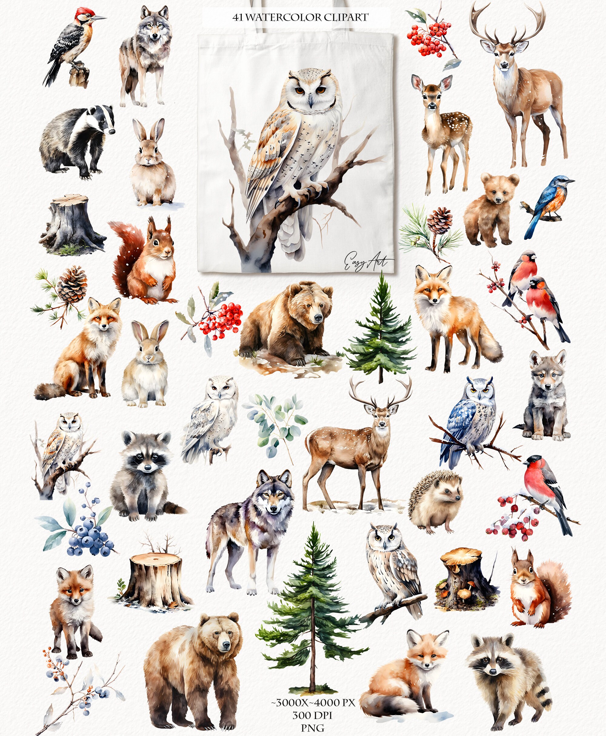 Watercolor Forest Animals Clipart, Woodland Animals PNG, Individual PNG ...