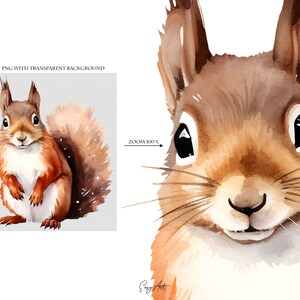 Watercolor Forest Animals Clipart, Woodland Animals PNG, Individual PNG ...